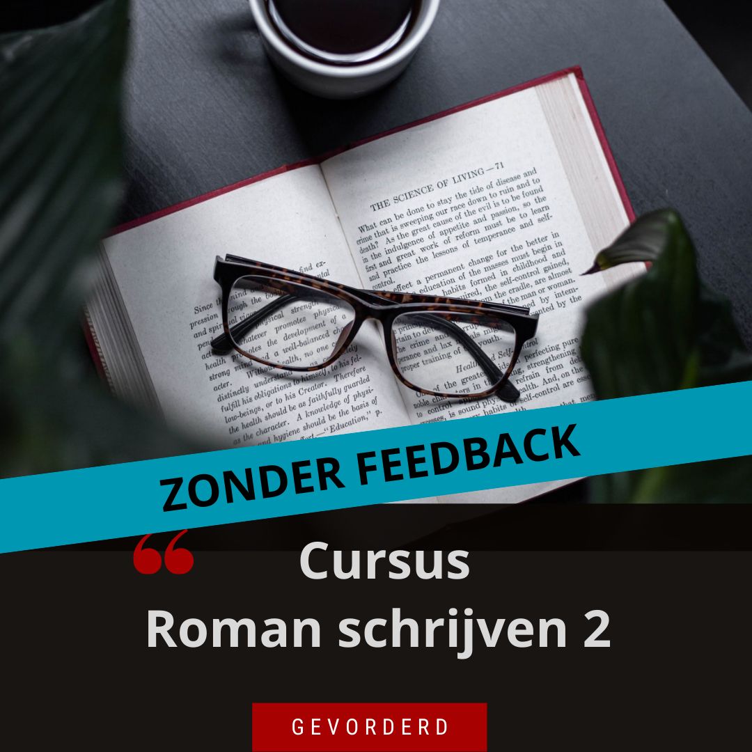 Roman schrijven - Online Schrijfschool